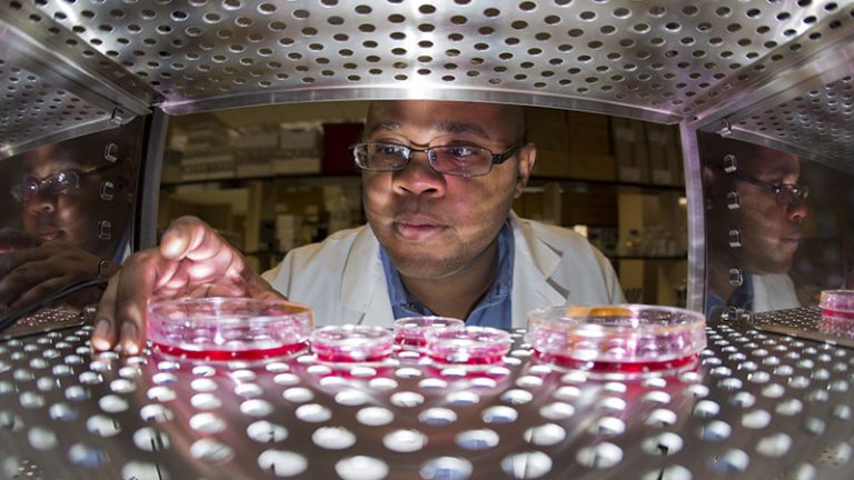 Ph.D. Program of Study | Regenerative Bioscience Major